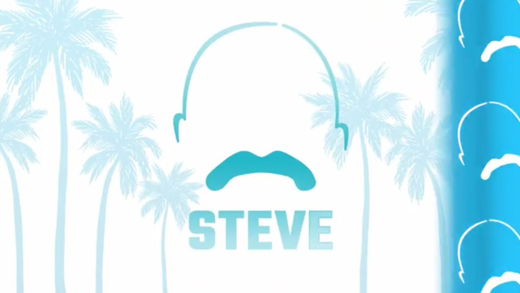 'Steve' soars to the rafters with new look - NewscastStudio