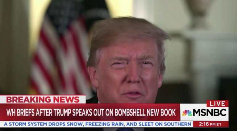 Donald Trump channels Wizard of Oz in bizarre briefing appearance ...