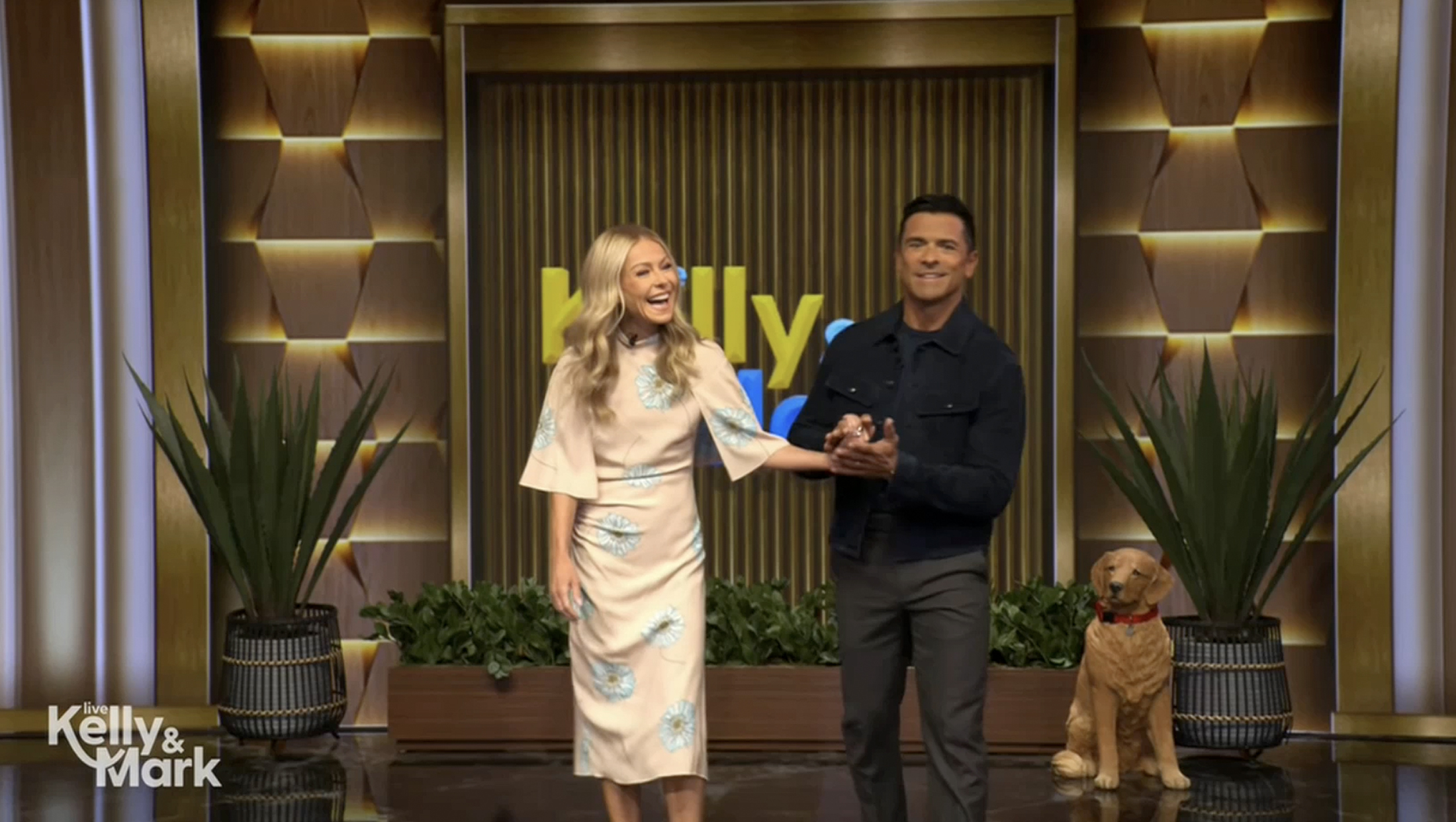 'Live with Kelly and Mark' makes move to new Disney building - NCS ...
